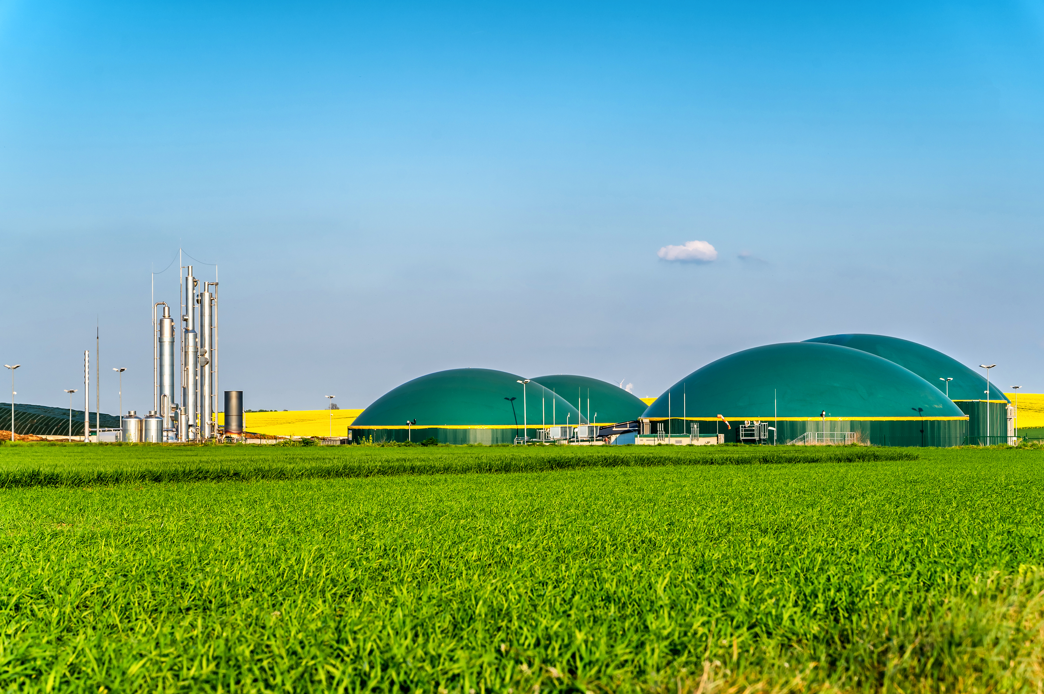 Biofuels | ITT Bornemann